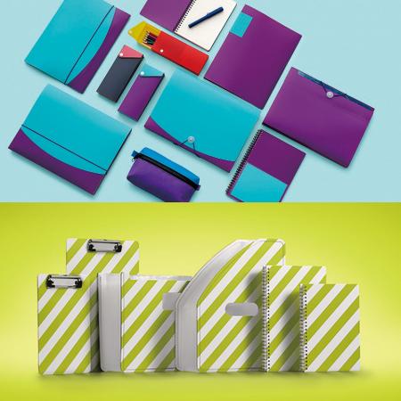 Leos' high-quality Office Supply, Filing Stationery, PP Files, File ...