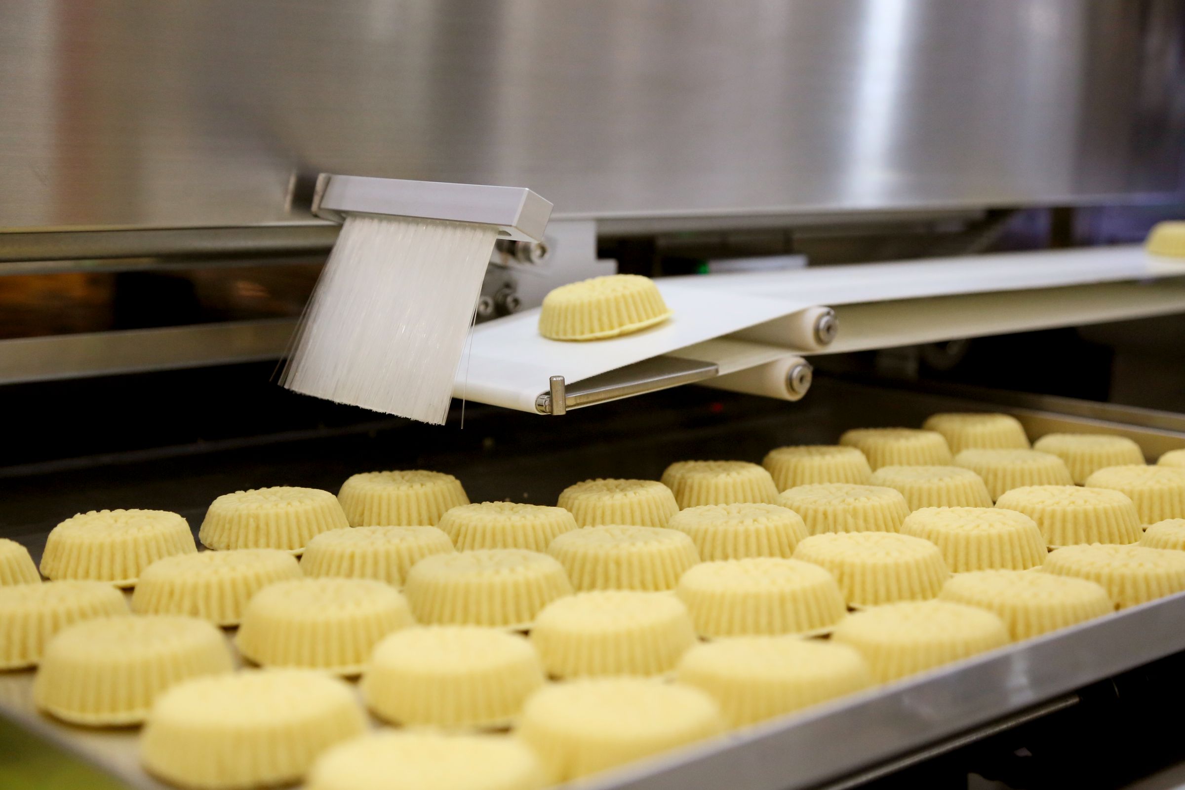 Show Gallery - 2022 Foodtech Taipei | ANKO FOOD MACHINE CO., LTD.