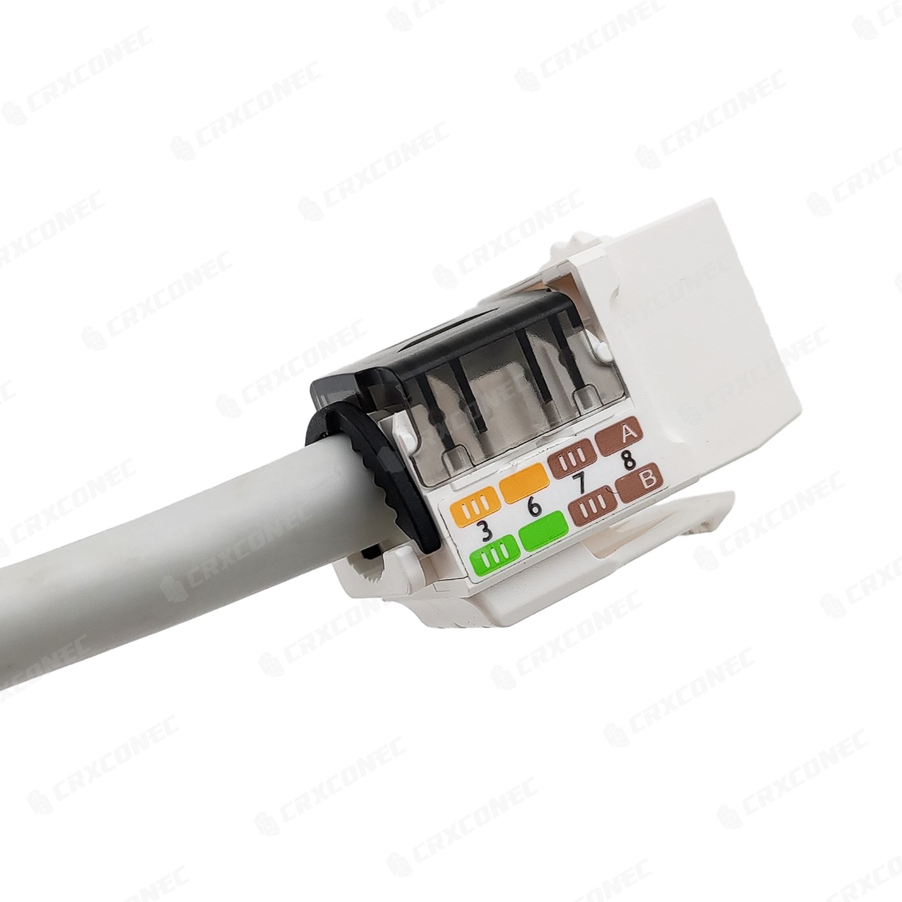 Cat6 90 Degree Cable Clip Style Keystone Jack With Color Plate ...