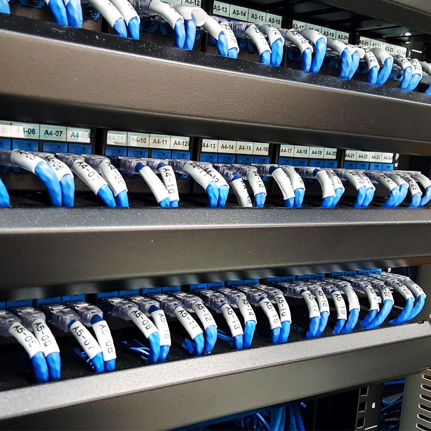 Pannello patch RJ45 e gestione dei cavi | Fornitore e produttore di ...