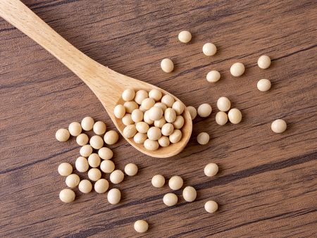 Soybean Washing Machine - Bean Washing Machine, Soy Washing Machine ...