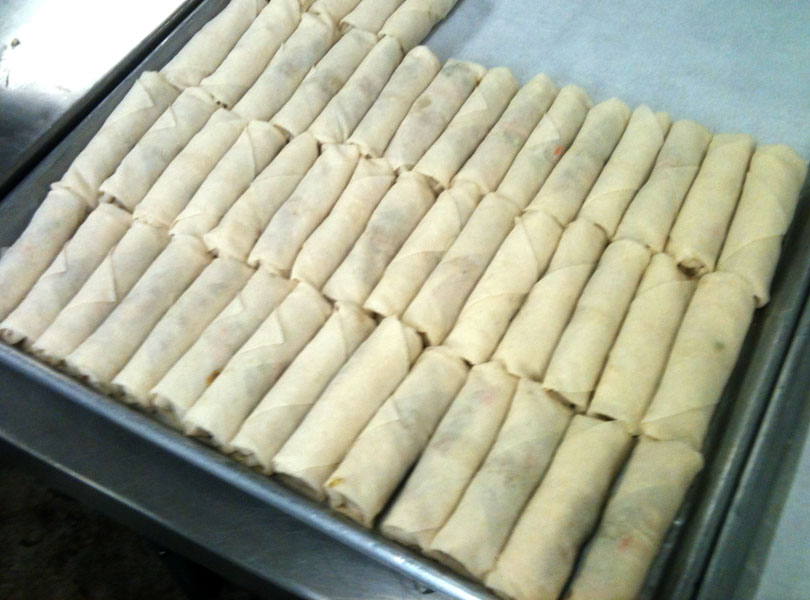 ANKO Linha de Produção de Rolinhos Primavera Cria Rolinhos de Vegetais ...