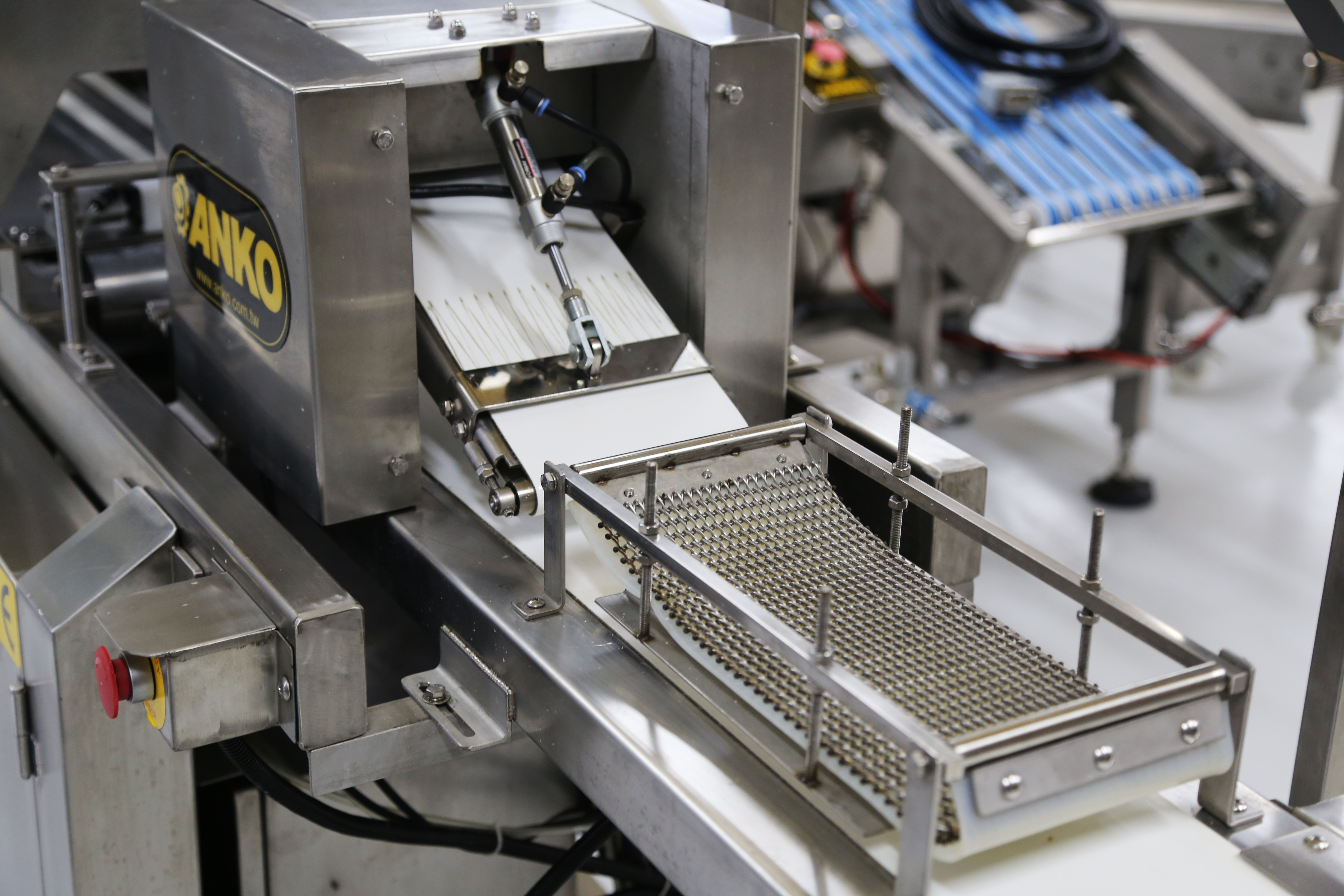 ANKO Spring Roll Production Line– Machinery Design for American Company ...