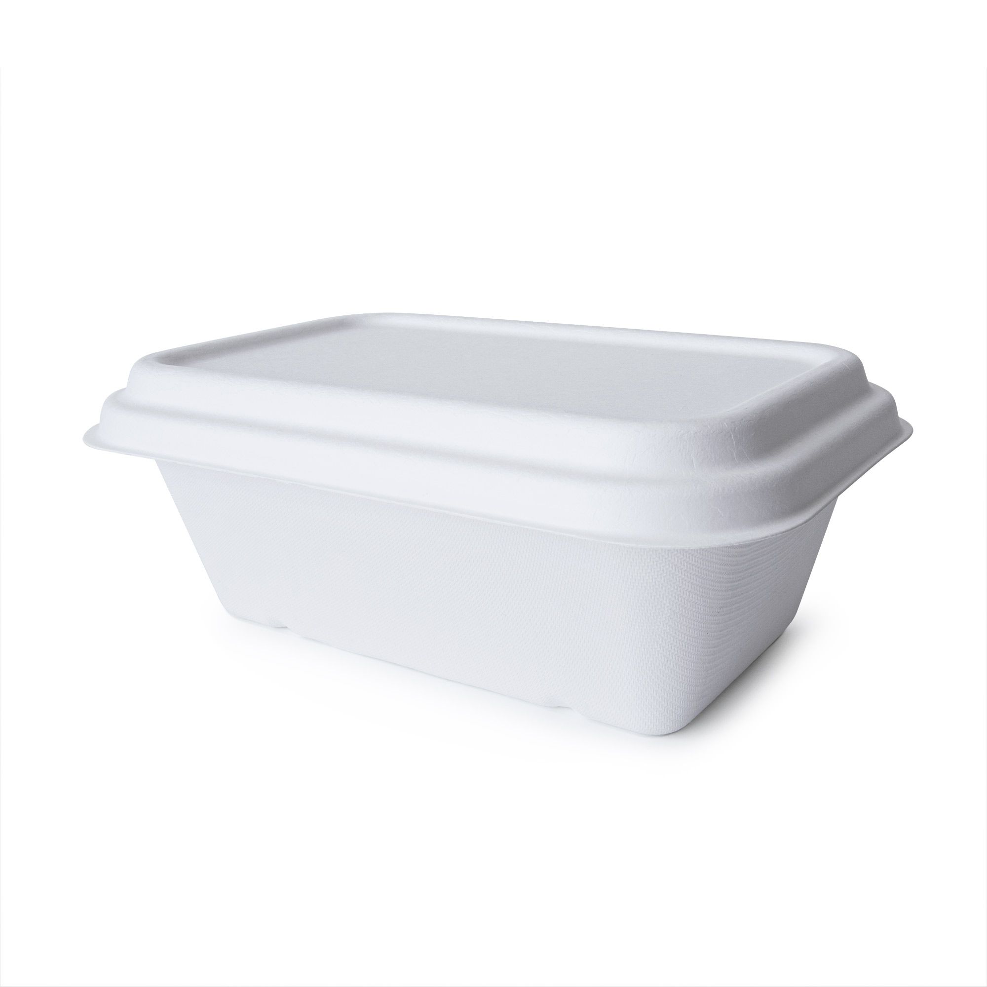 Bagasse Rectangle Lunch Box(1300ml) Supply. ISO & HACCP In-House ...