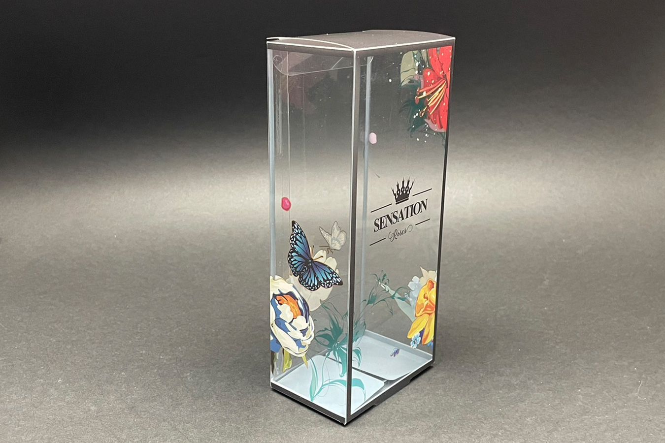 PET Plastic Cosmetic Box - PET Plastic Transparent Box Front View ...
