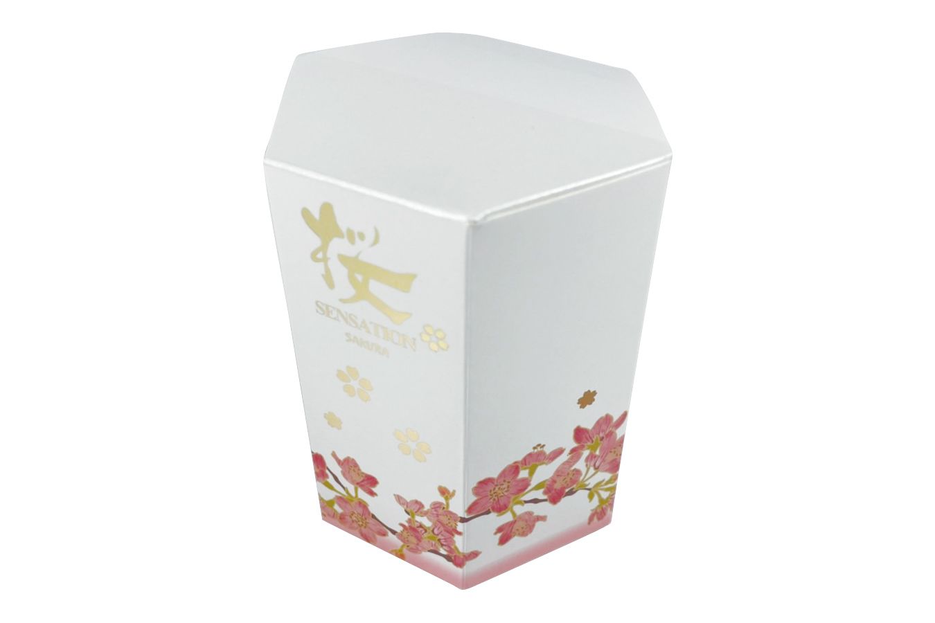 Polygonal Packaging Box - Polygonal Packaging Box Front view ...