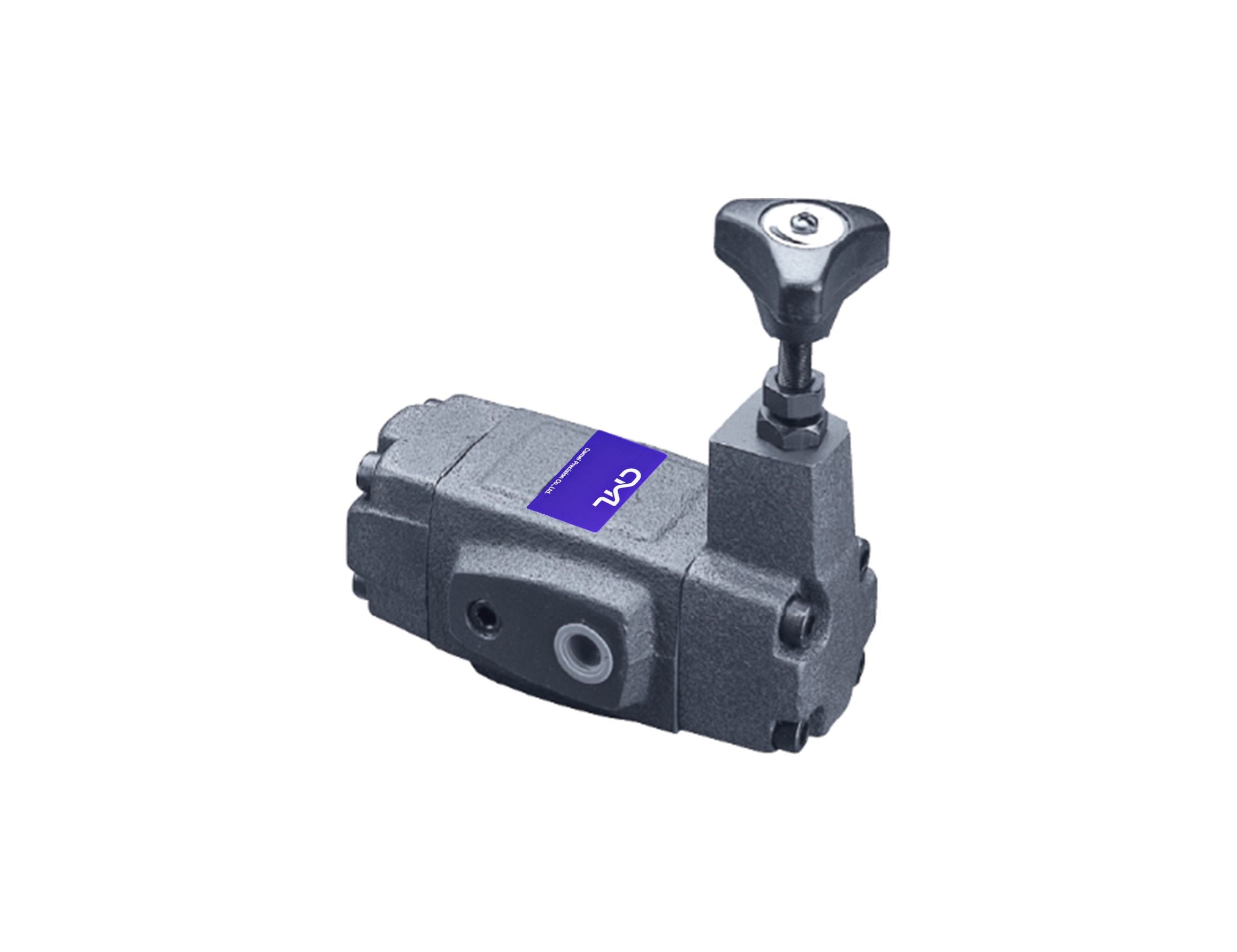 Pressure Reducing Valves RG - High-quality Pressure Reducing Valves RG ...