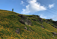 Air Flow Meter MAF Sensor 0281002756 for MAHINDRA | Ignition Coil ...