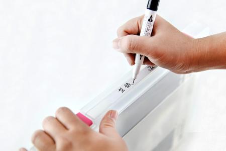 Classic Everyday Carry File for 150 Sheets of A4 Sized Paper | Plastic ...