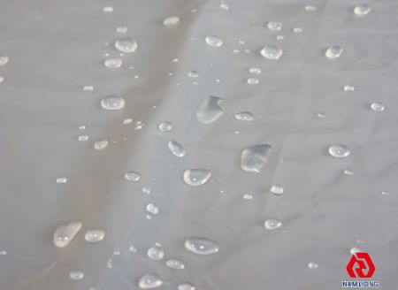 TPEE MEMBRANE - Non-Porous Hydrophilic Thermoplastic Polyester ...