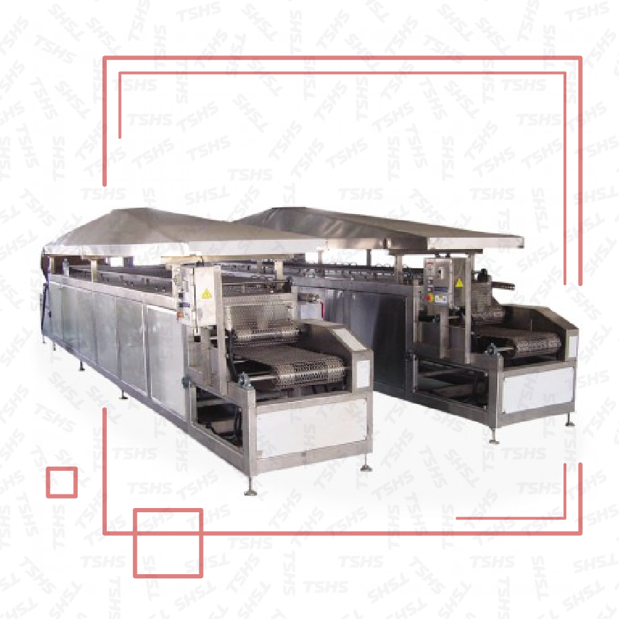 Fish Shred Production Line | Processing Machinery & Turnkey Project ...