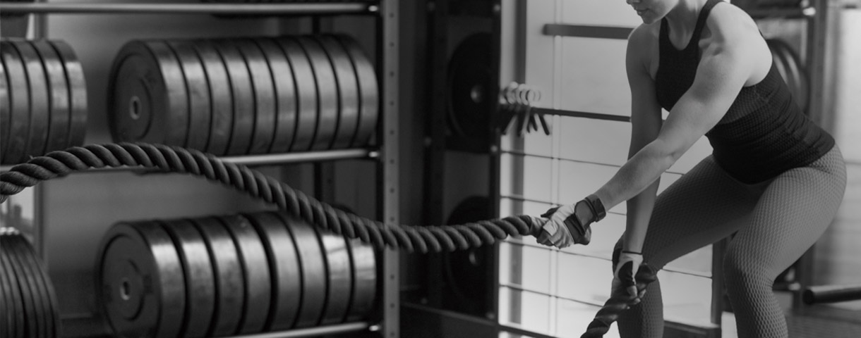 Weight Training & Fitness Equipment Manufacturer | Alex, Alexandave ...