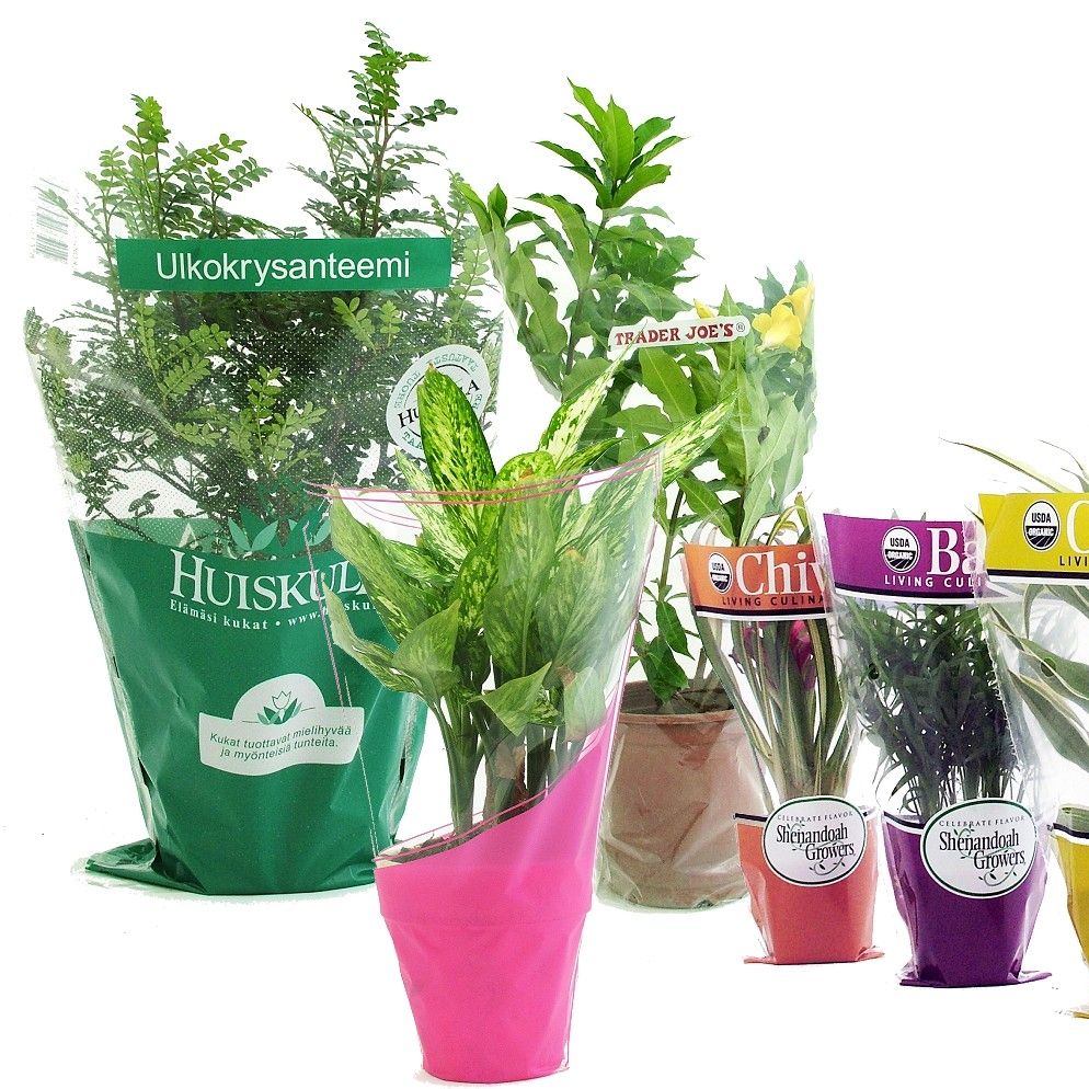 Paper Flower Bouquet Sleeves | Best Flower Site