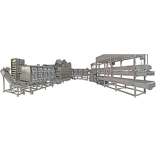 Customized Production Line | Food Processing Equipment- Ding-Han ...